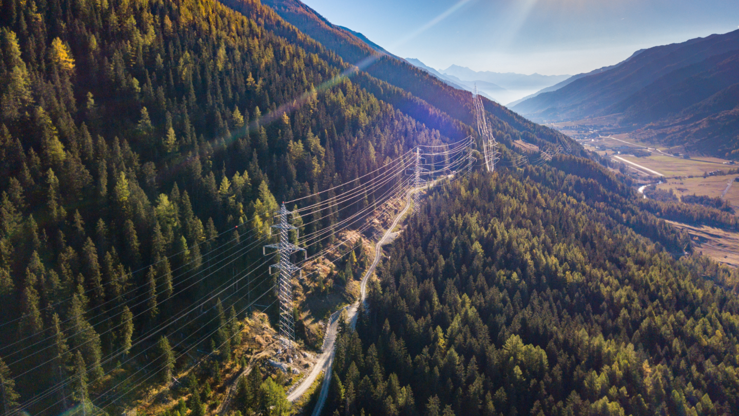 Network Manager Wide Area Monitoring System (WAMS) | Hitachi Energy