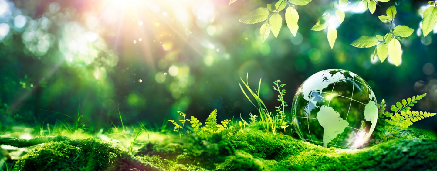 Hitachi Awarded Sustainable Markets Initiative 2023 Terra Carta Seal