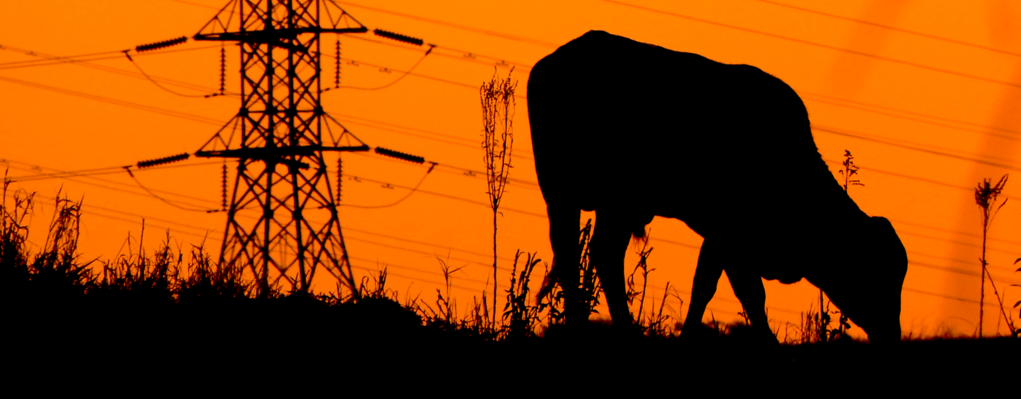 Power quality solutions enable resilient operations at Al Safi Danone ...