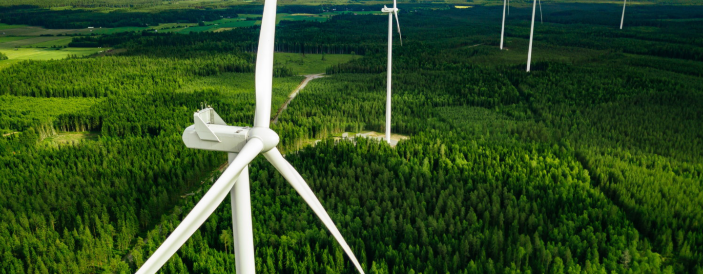 The crucial role of the grid connection in keeping wind energy ...