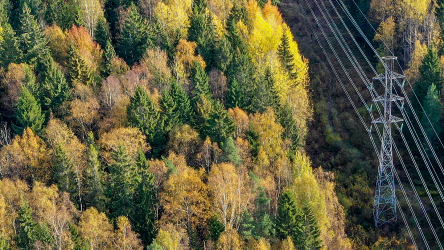 How data empowers workforce teams and improves reliability | Hitachi Energy