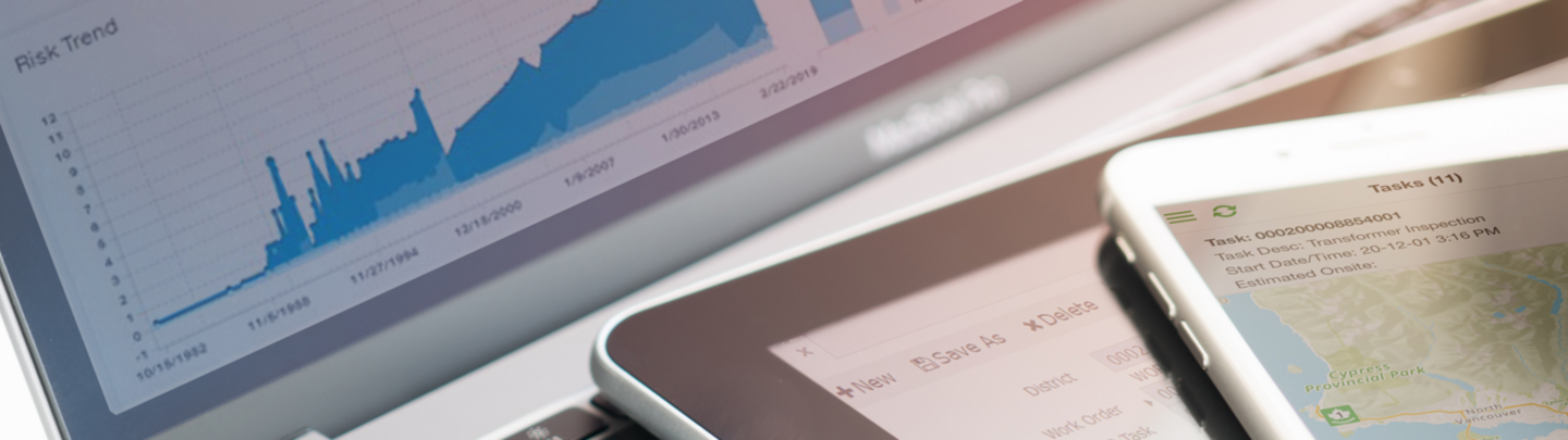 Asset & Work Management