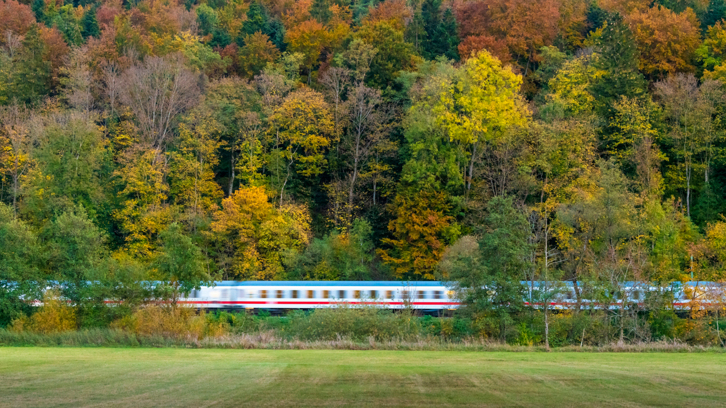 Webinar Vegetation Manager Rail | 日立エナジー