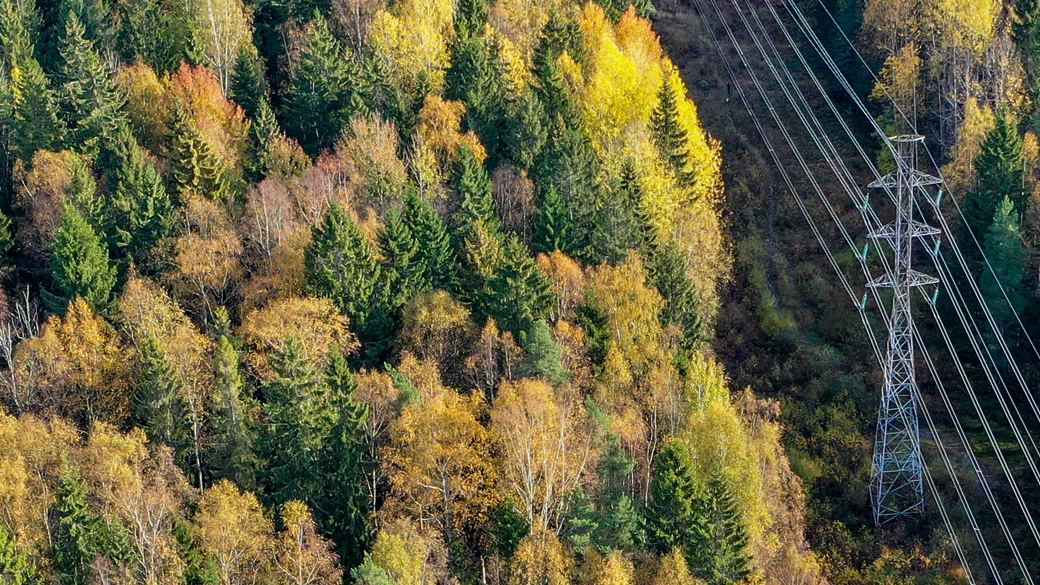 Vegetation Manager | Hitachi Energy