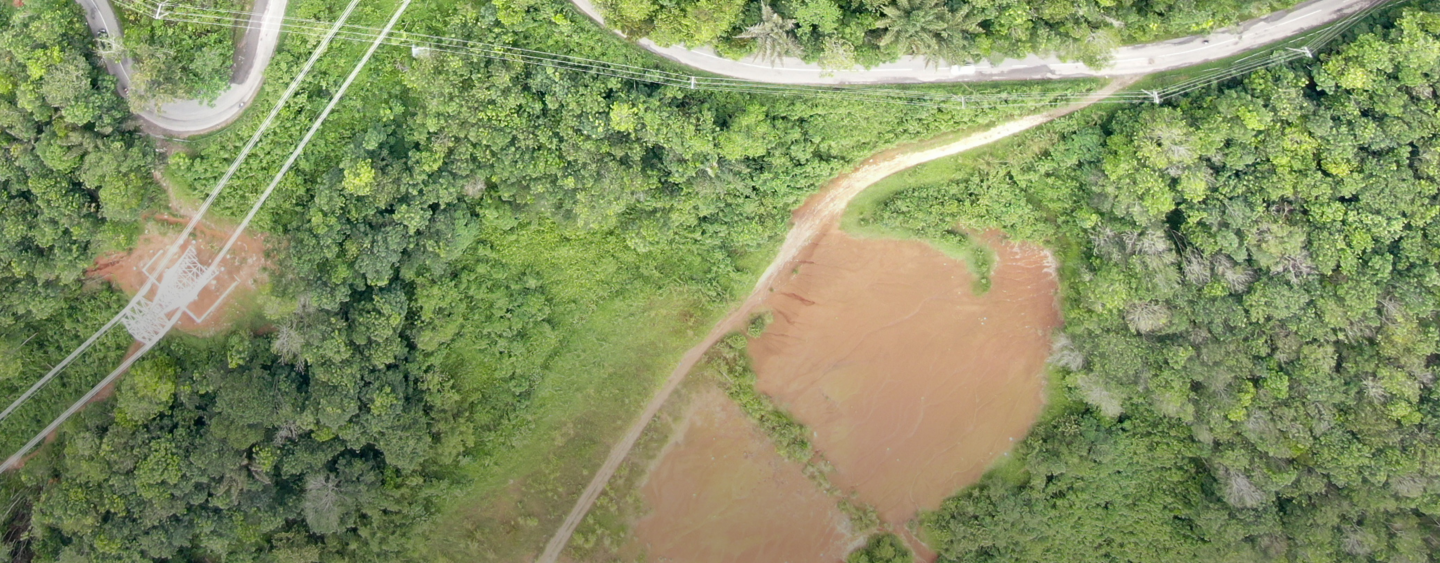 What’s the Role for Digitalization in Utility Vegetation Management ...